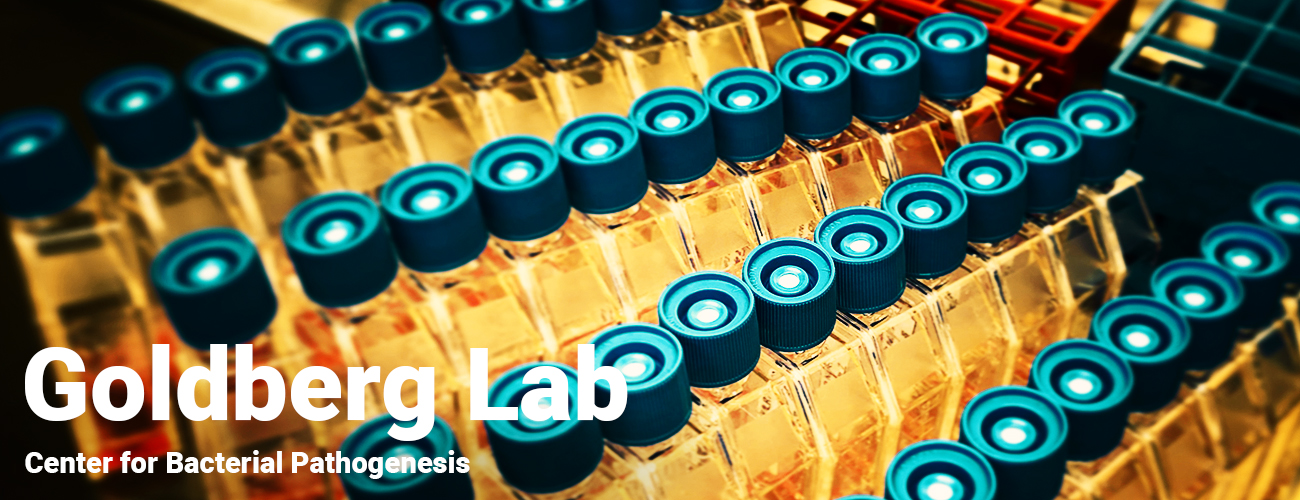 Goldberg Lab – Goldberg Lab